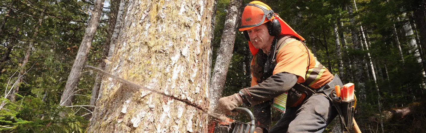 Plan Booklets | USW-Coastal Forest Industry Health & Welfare Plan